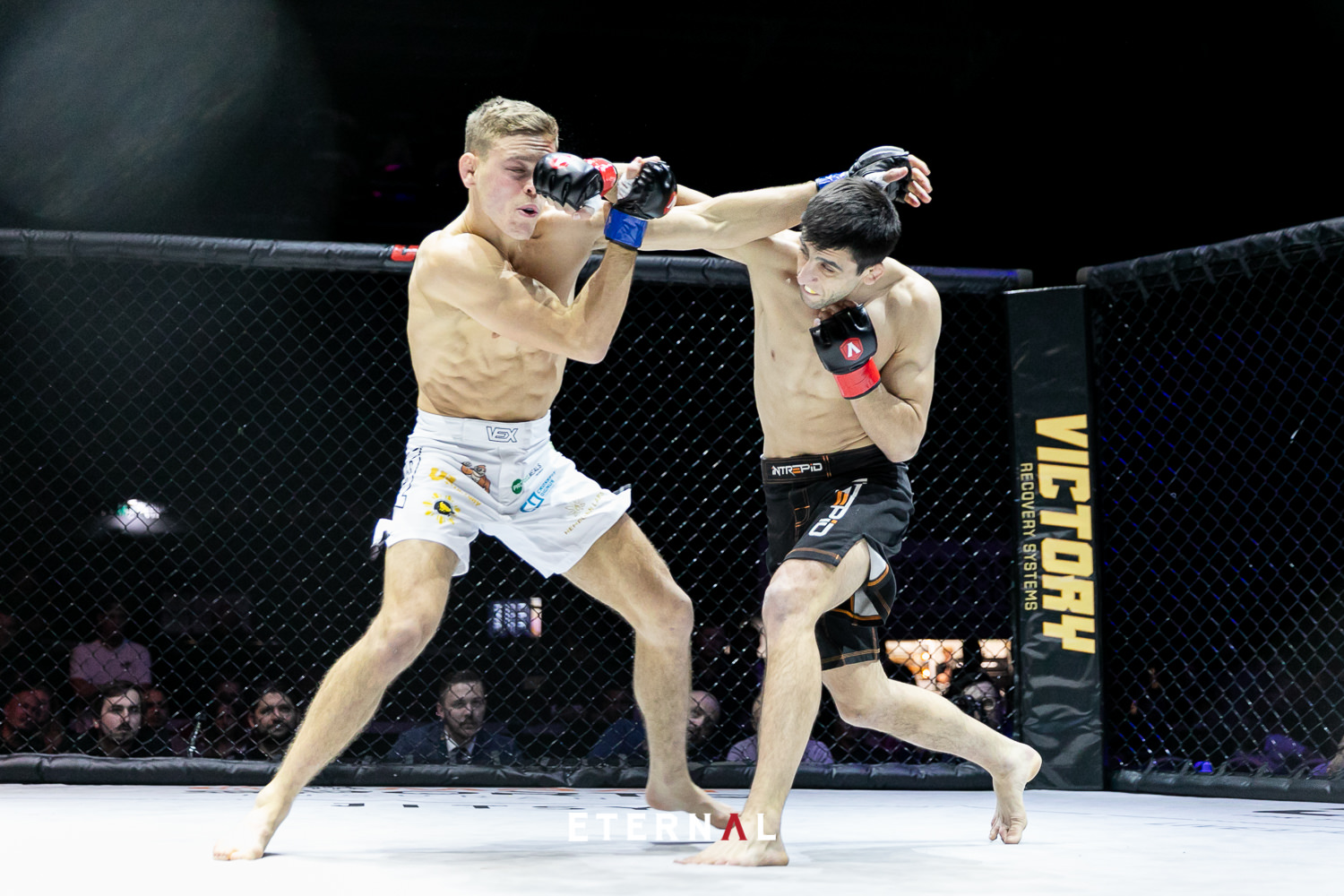 Stephen Erceg: The AstroBoy | Eternal MMA