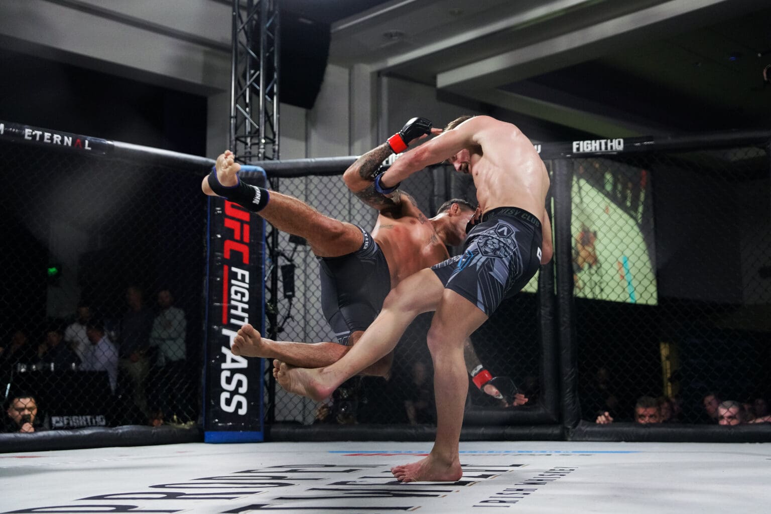 Know Your Fighter: Sebastian Szalay | Eternal MMA