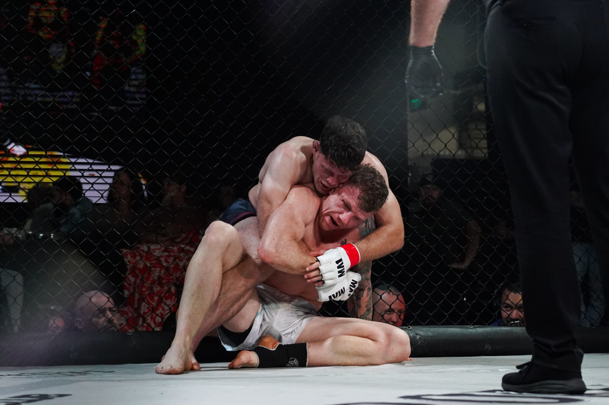 David Martinez | Eternal MMA